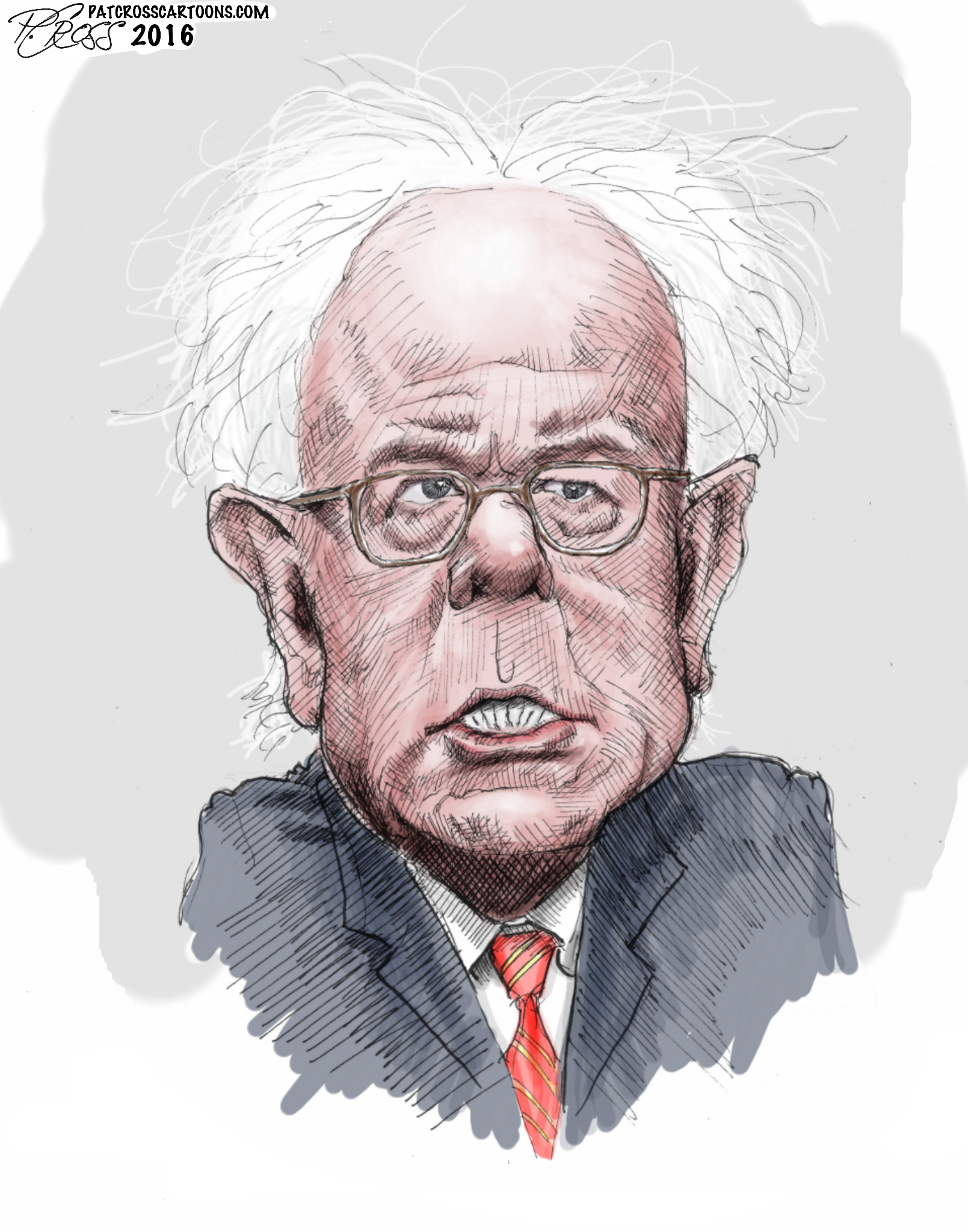 Bernie | Pat Cross Cartoons