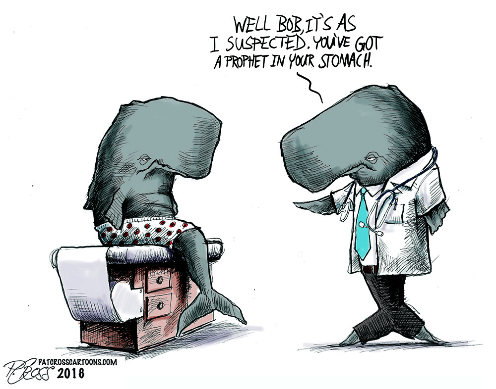 Stomach Ache | Pat Cross Cartoons