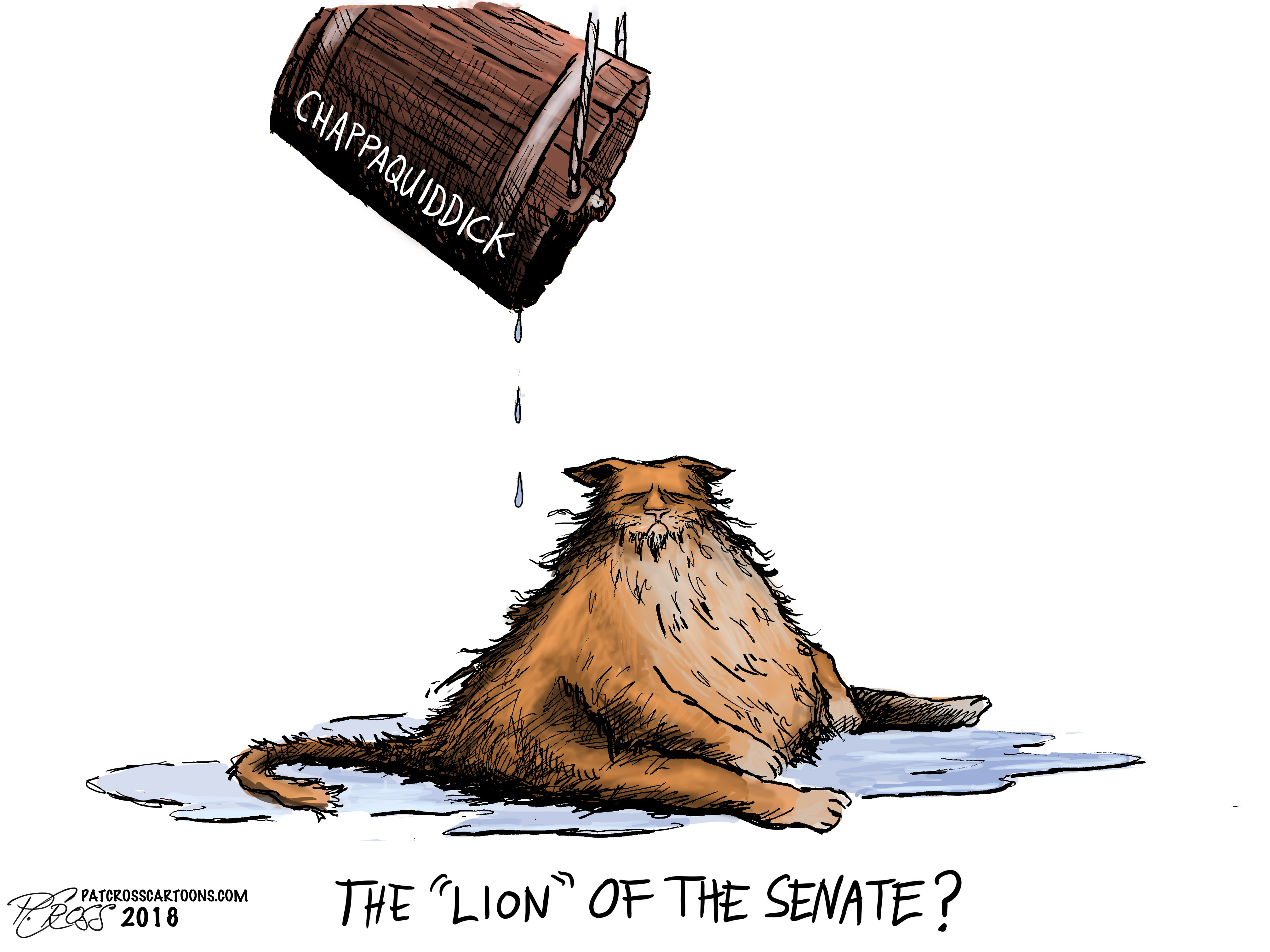 Chappaquiddick | Pat Cross Cartoons
