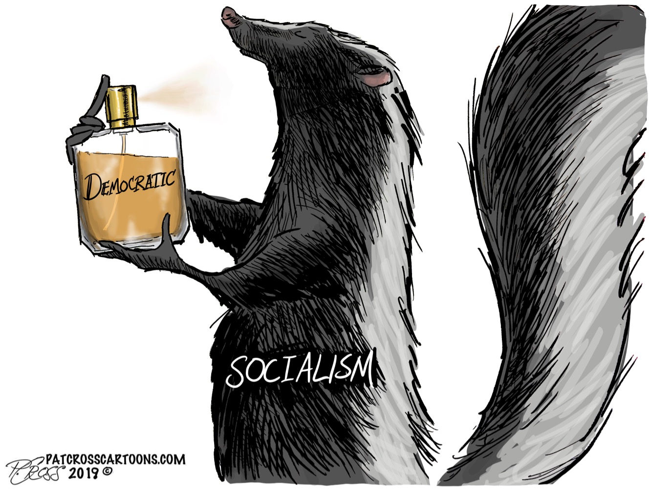 Democratic Socialism | Pat Cross Cartoons