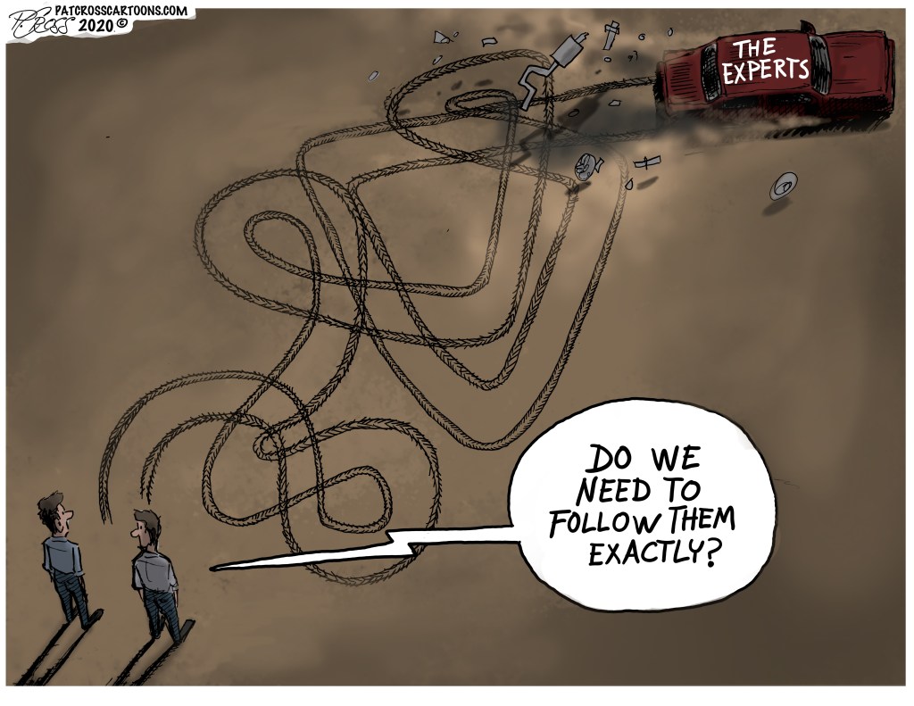 The Experts? | Pat Cross Cartoons