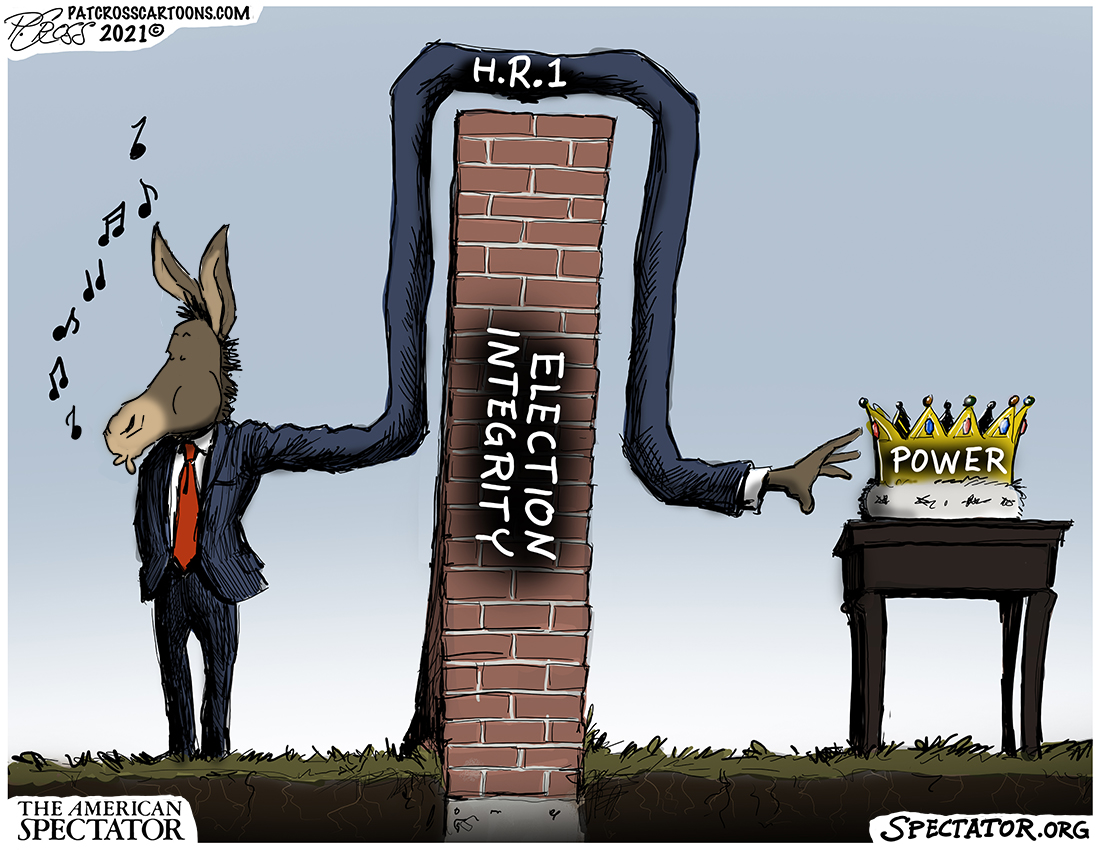 Power Grab | Pat Cross Cartoons