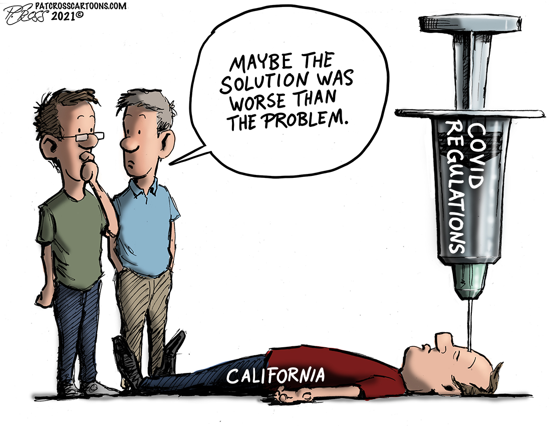 A Killer Solution | Pat Cross Cartoons