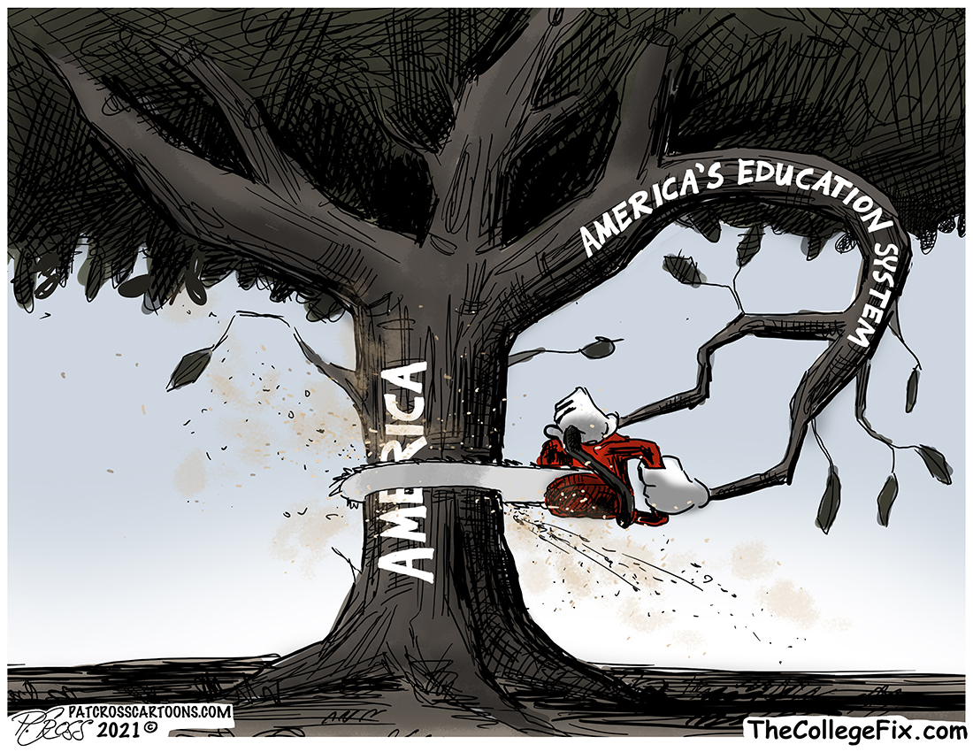 Pat Cross Cartoons | Because I enjoy Drawing, America, and a few other ...