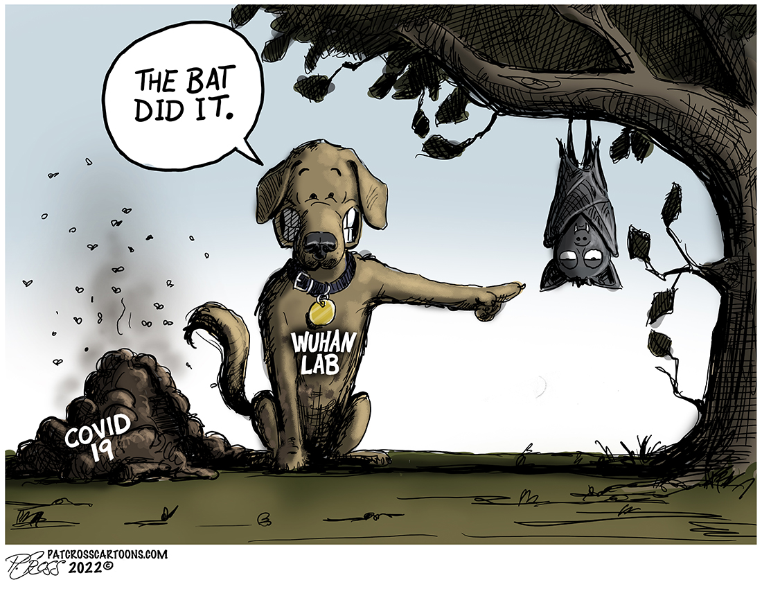 The Bat Did It | Pat Cross Cartoons