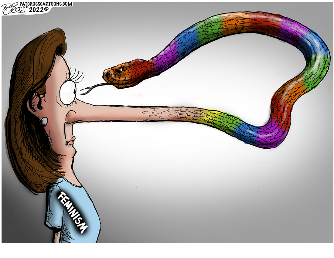 Pat Cross Cartoons | Because I enjoy Drawing, America, and a few other ...