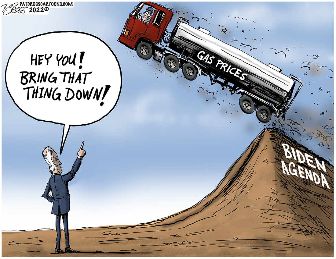 Pat Cross Cartoons | Because I enjoy Drawing, America, and a few other ...